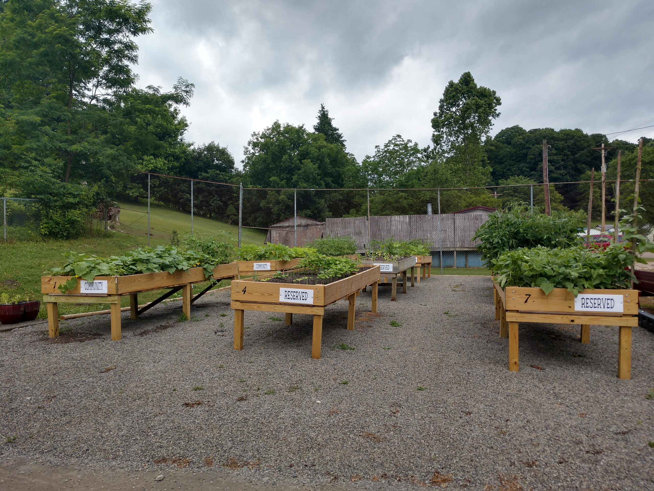 Mulberry Community Garden Expansion Project - FAO Cause Connector